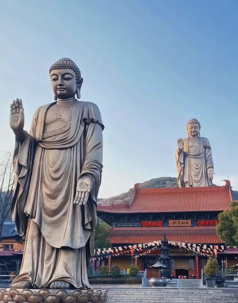 [Flower Viewing Promotion] One-day tour of Wuxi Lingshan Grand Buddha ...